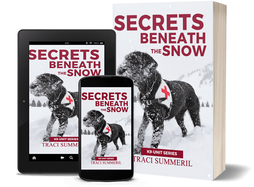 Books - Traci Summeril